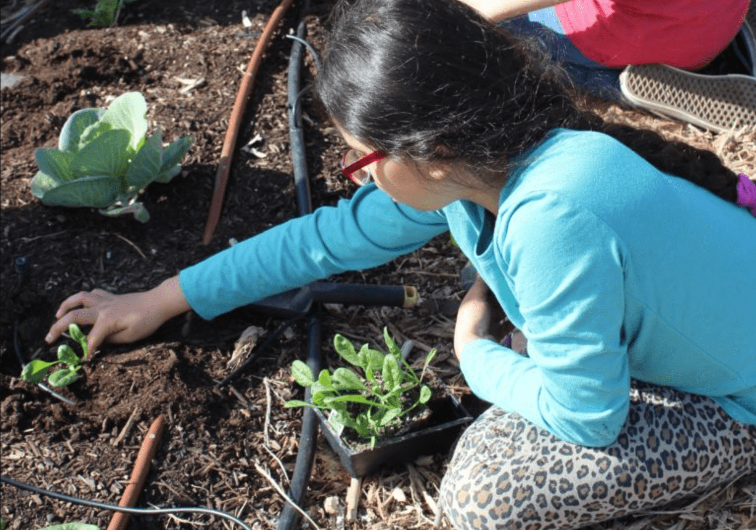 Nonprofits work together to help kids experience nature - Impact San ...